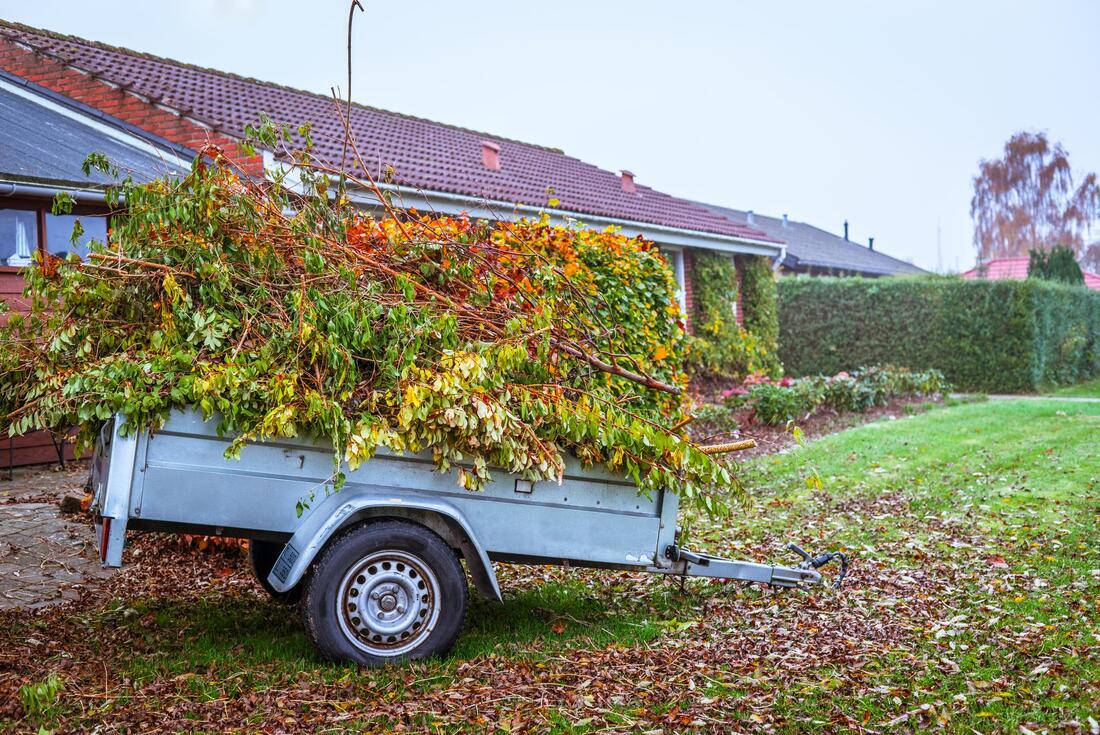 Best Yard Waste Removal Services in Palm Beach County